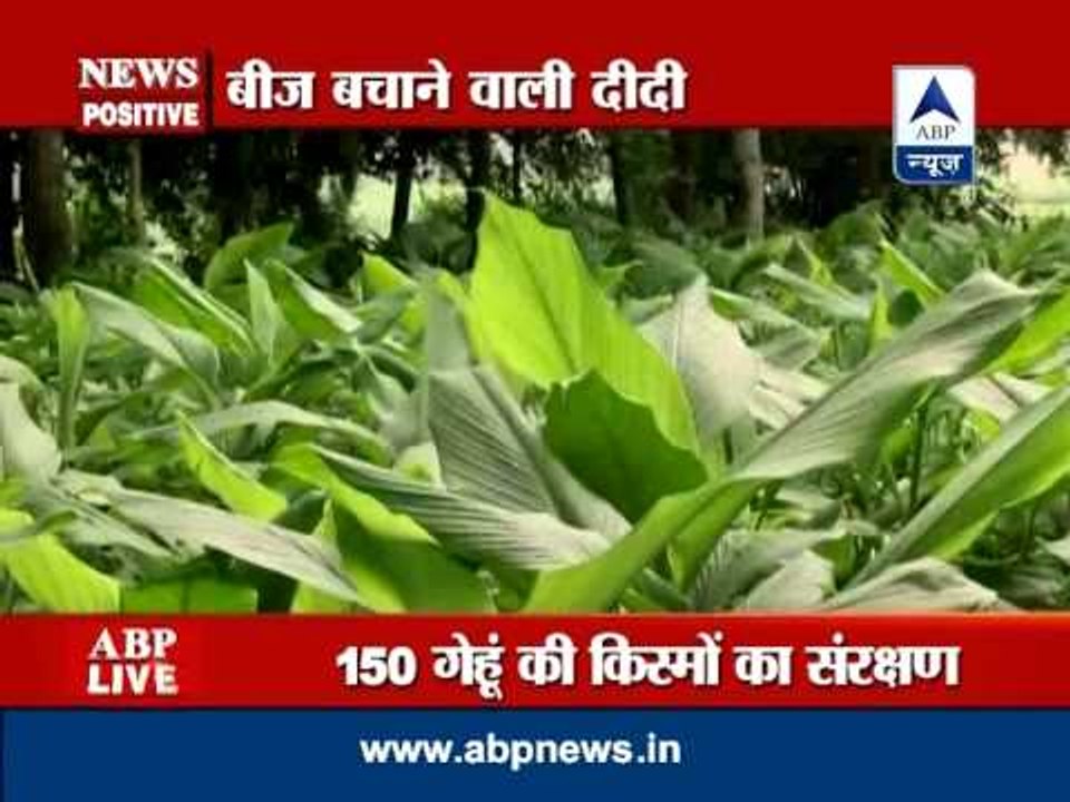 News positive: Seed museum of Beeja Devi - video Dailymotion