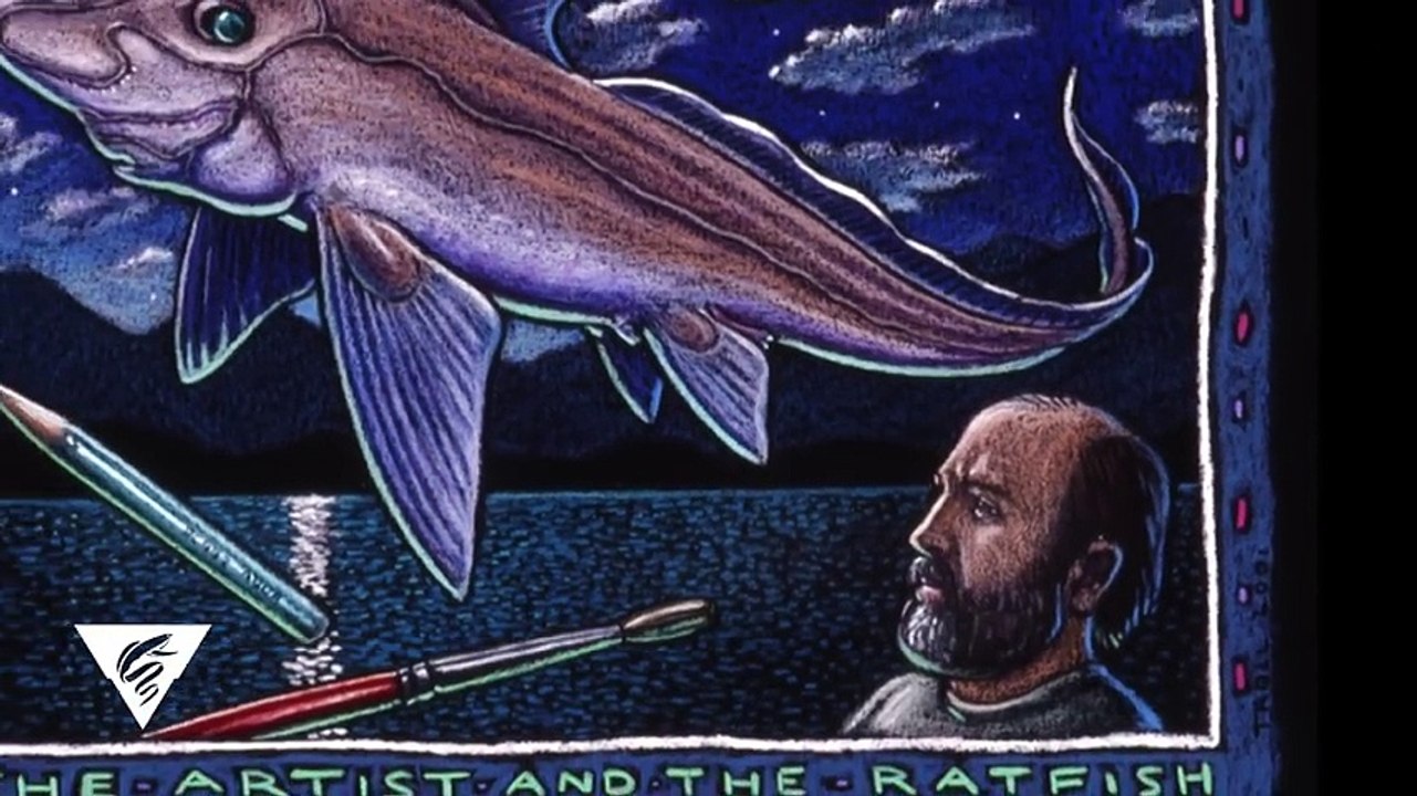 Le requin fantôme, filmé pour la première fois - Vidéo Dailymotion