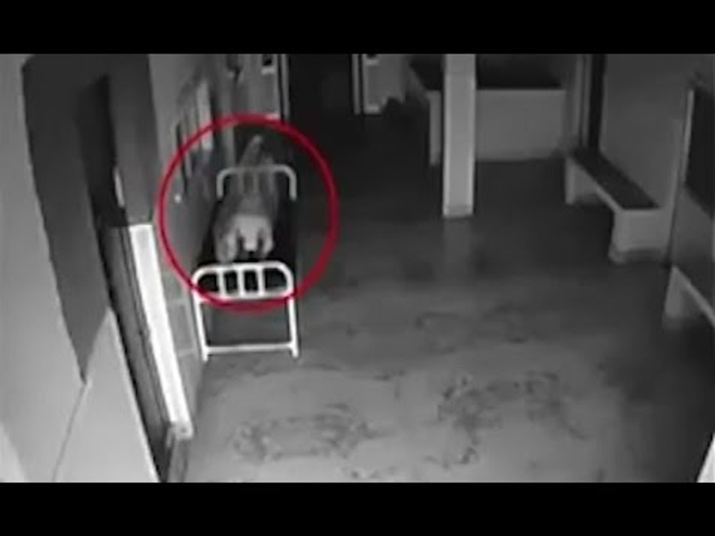 Real Ghost Caught On Camera Attacking People