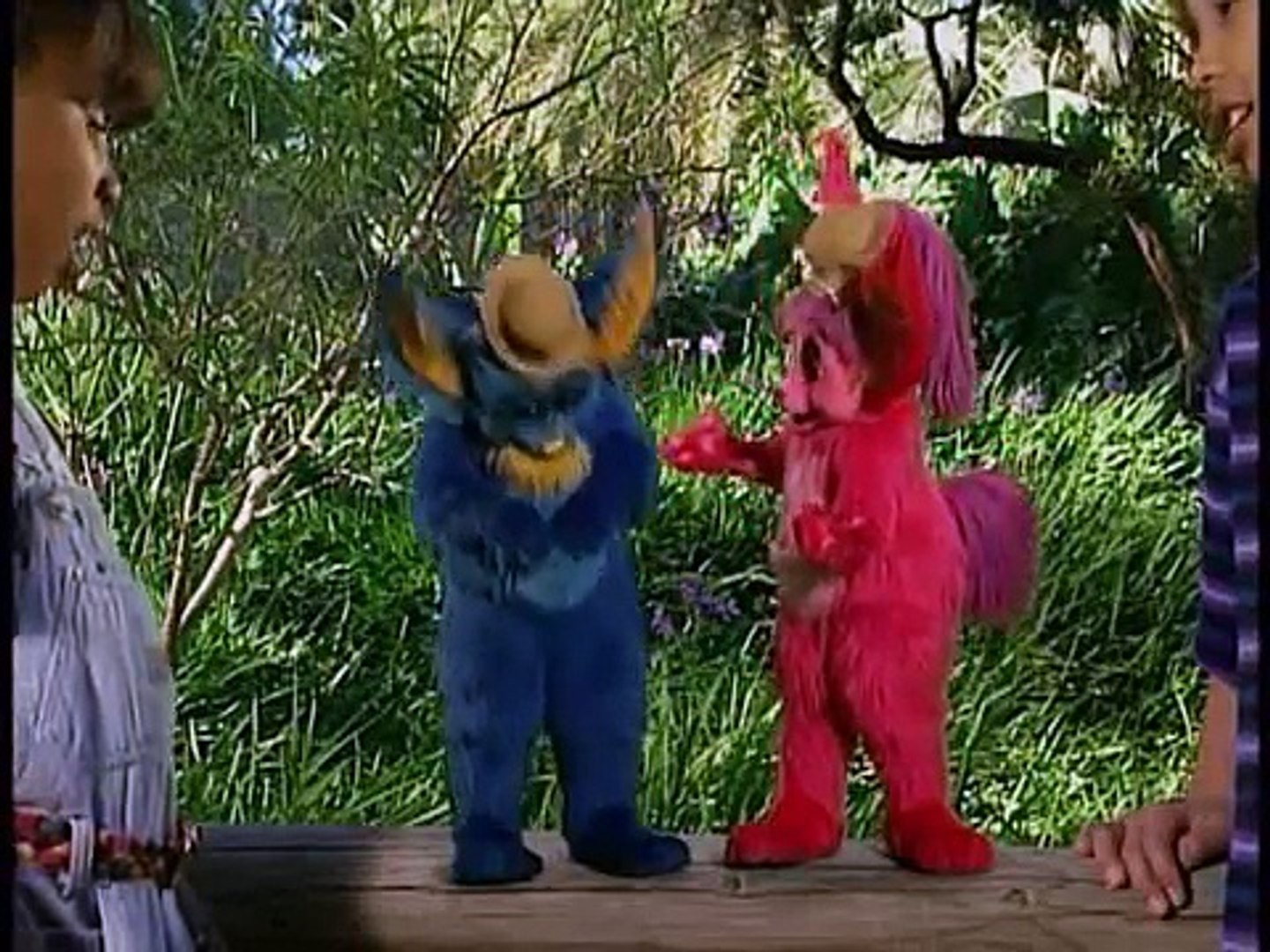 Kidsongs Baby Animal Songs Dvd