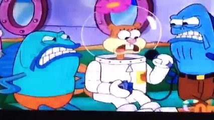 Sardines Spongebob Sirena Irwin On SpongeBob And Iconic Background