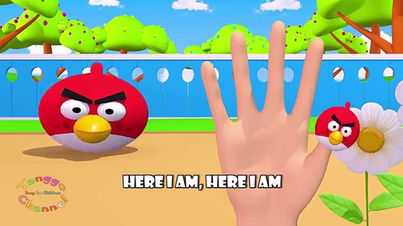 Angry Bird 3D Finger Family | Nursery Rhymes | 3D Animation From ...