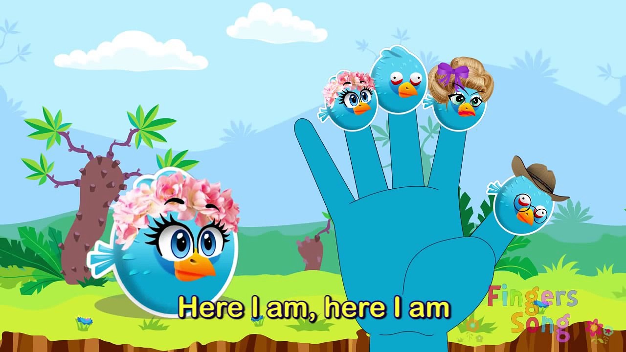 ANGRY BIRDS Finger Family Nursery Rhyme - 動画 Dailymotion