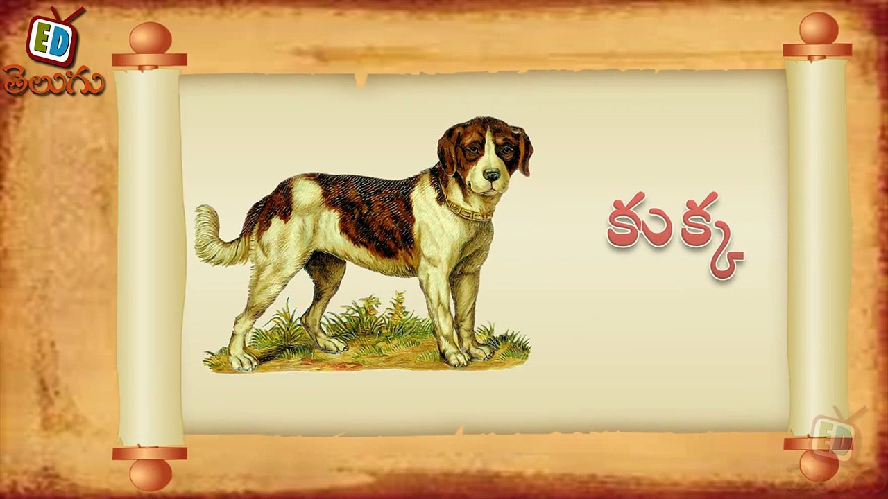 telugu-balasiksha-ka-vathu-learn-telugu-language-cjrxw0jwgcm