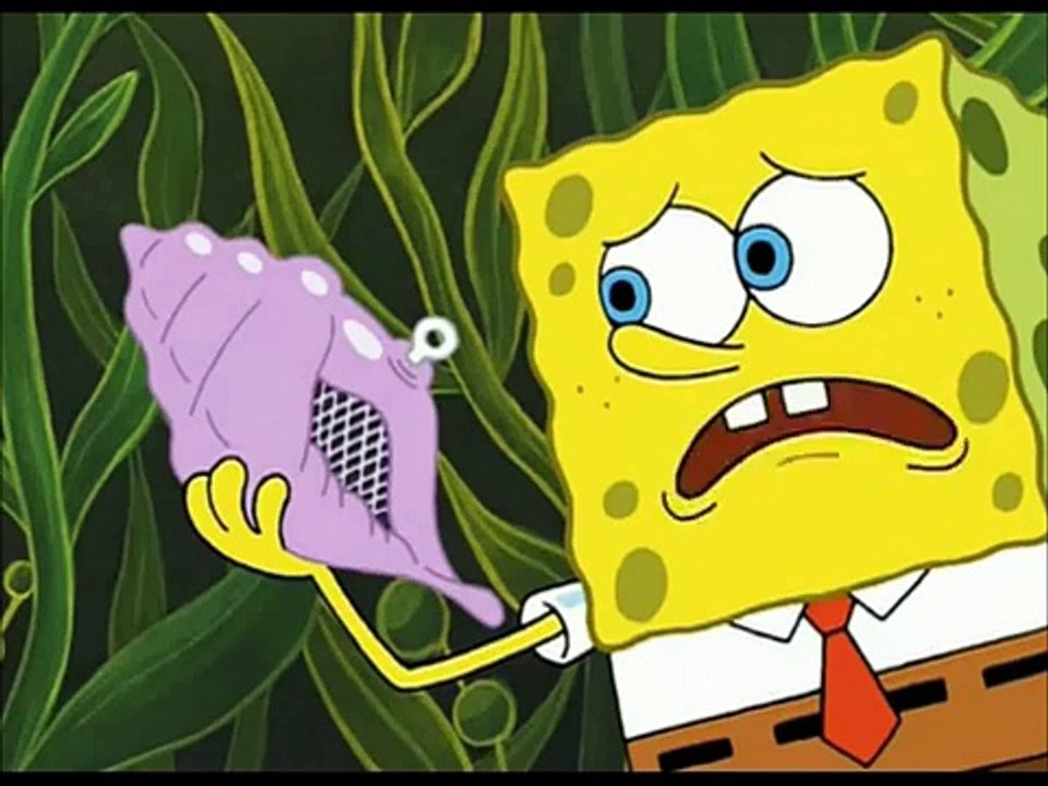 An Unexpected Answer from the Magic Conch Shell - Video Dailymotion