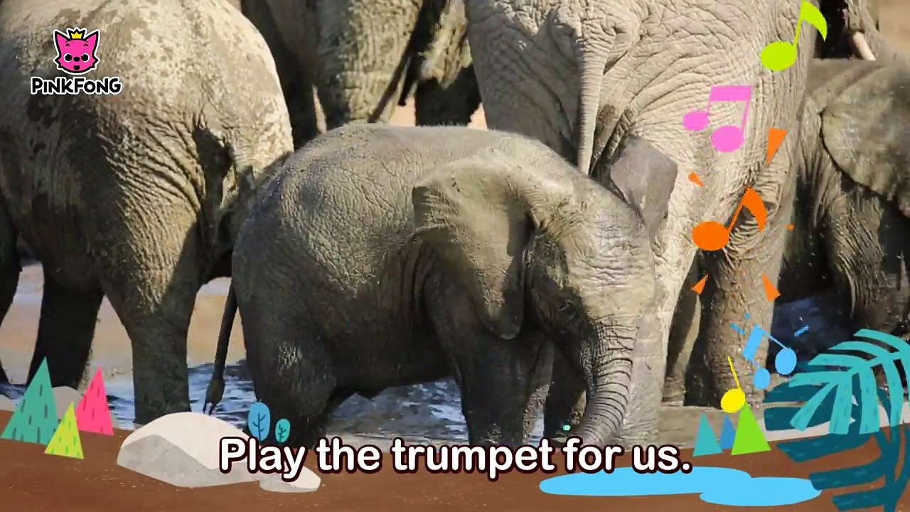 Elephant _ Animal Songs 2 _ Pinkfong Songs for Children-z4FbTIldHys ...