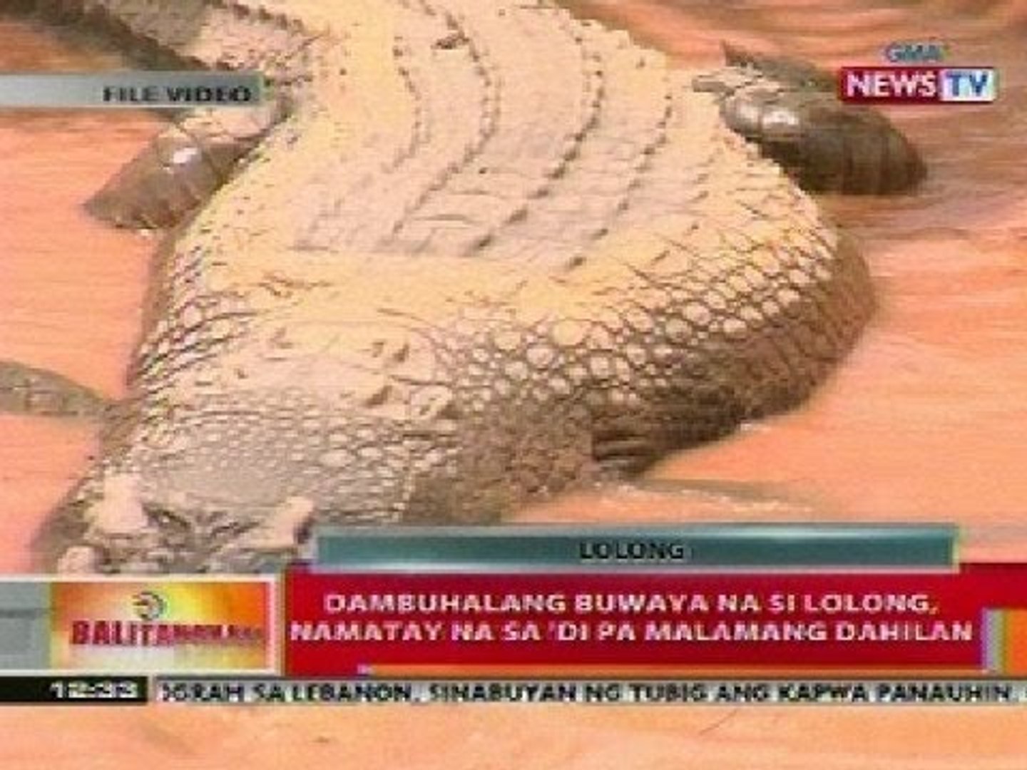 Buwaya Lolong