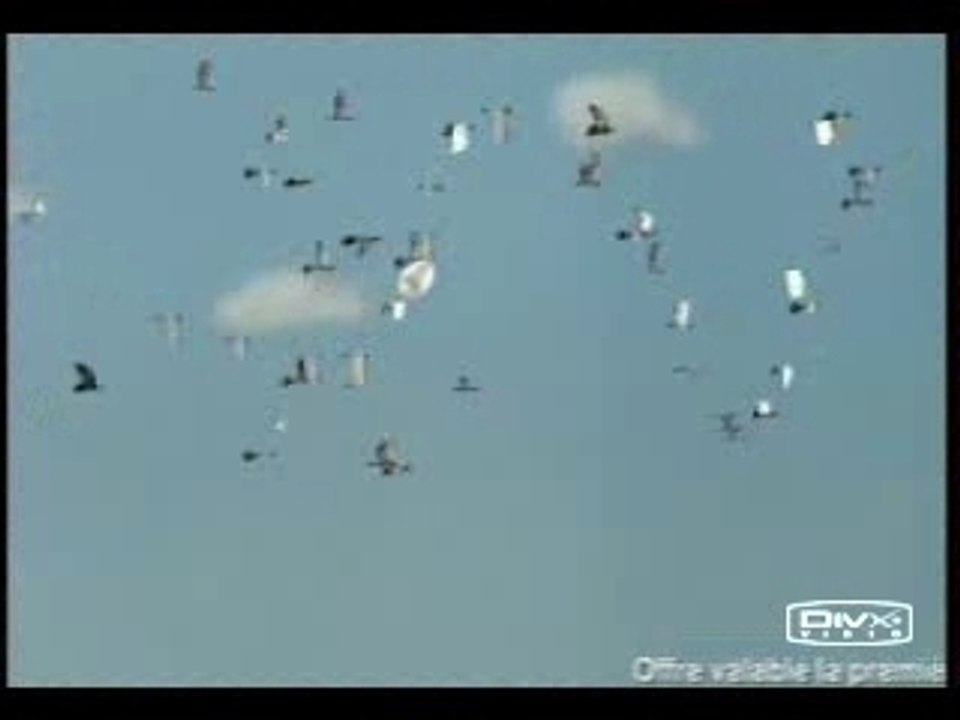 Pub GMF 2007 - Vidéo Dailymotion