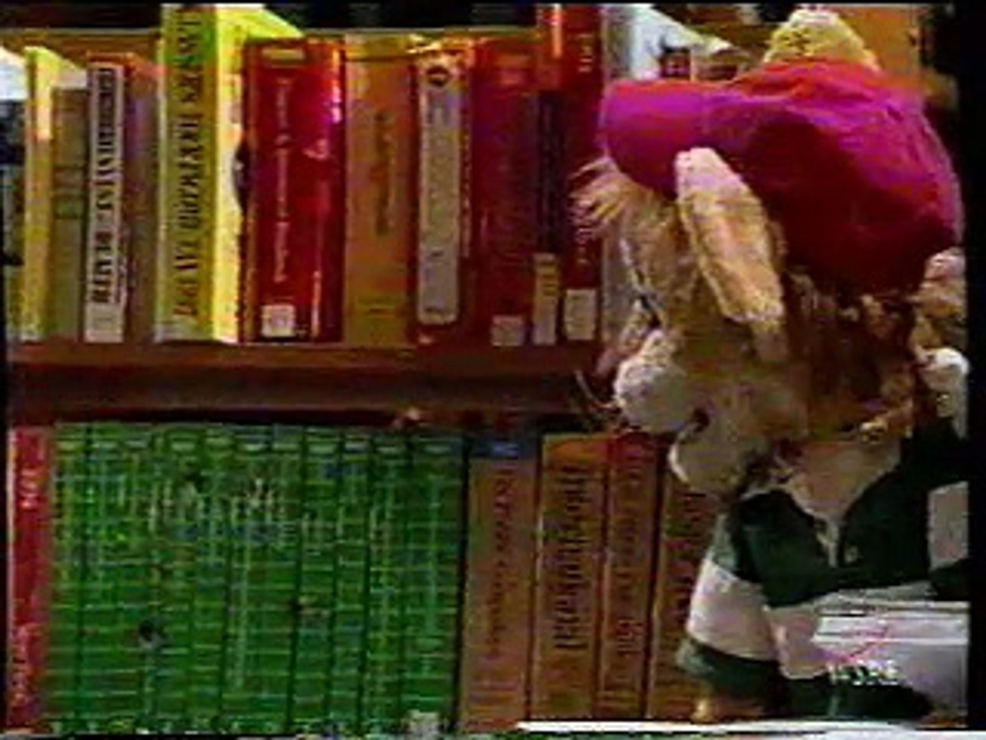 Between The Lions Library