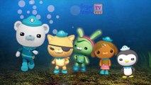 Octonauts Finger Family Nursery Rhymes Lyrics – &&&&& Dailymotion