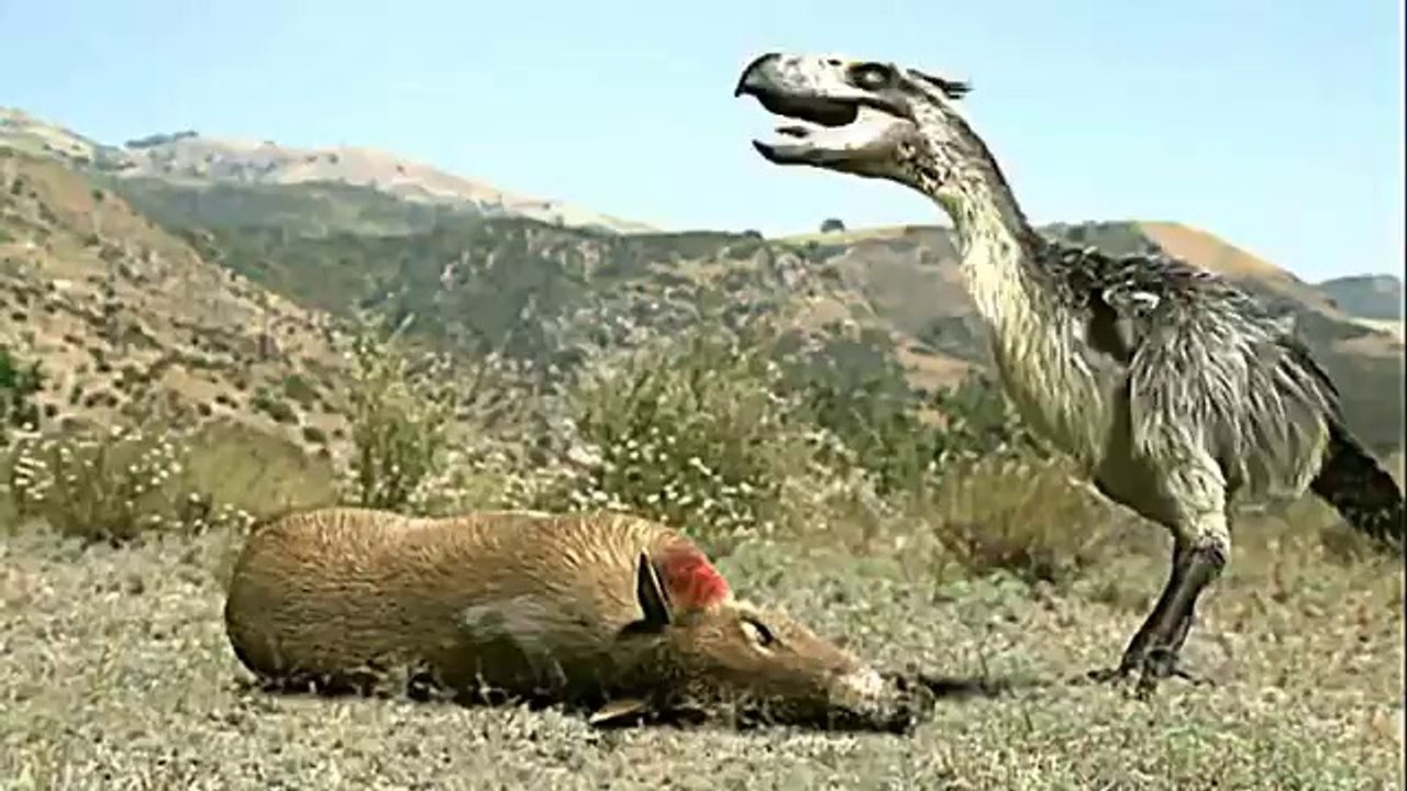 Prehistoric Predators: Terror Bird | National Geographic Documentary ...