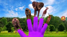 Madagascar finger family | Alex, Marty, Gloria, Melman | Nursery Rhymes ...
