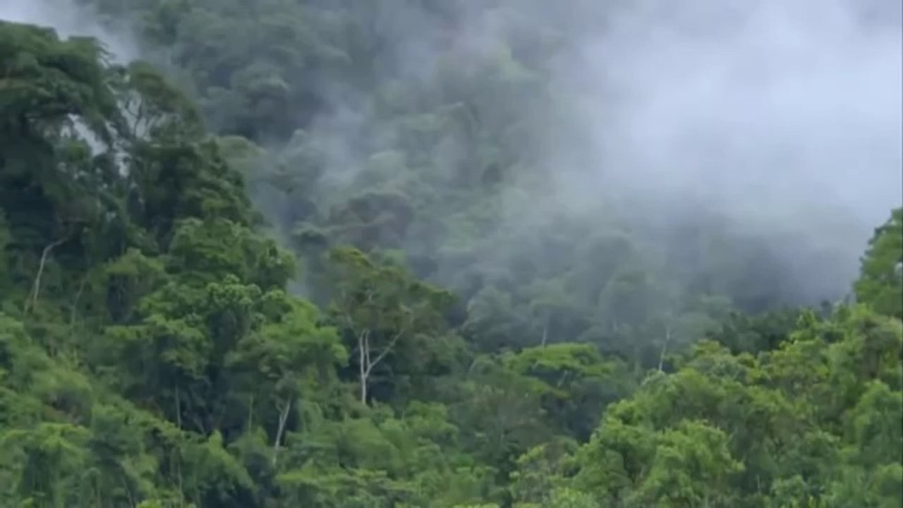 Secrets In the Amazon RainForest - National Geographic Documentary ...