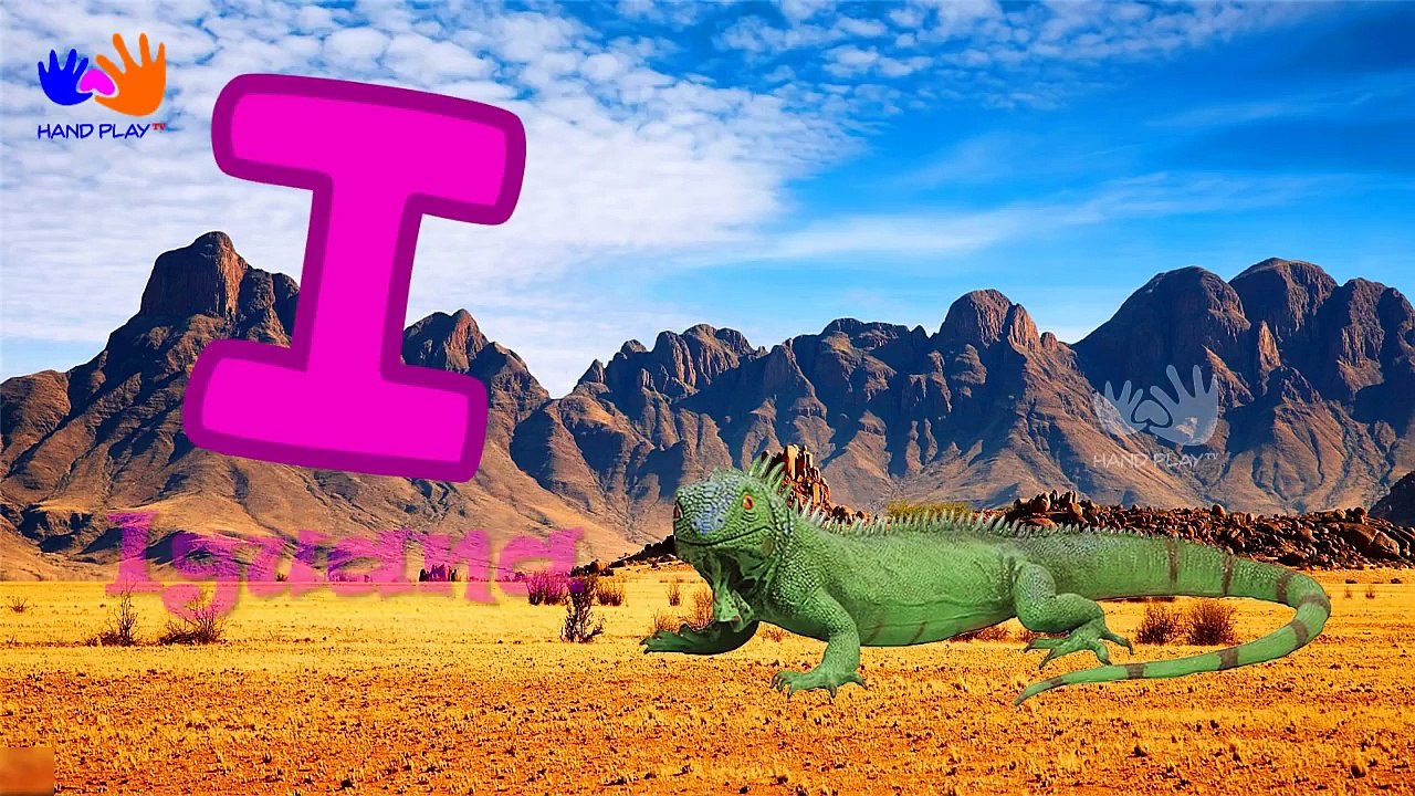 Learn the Alphabet with Animals | Talking ABC Animal from A to F for ...