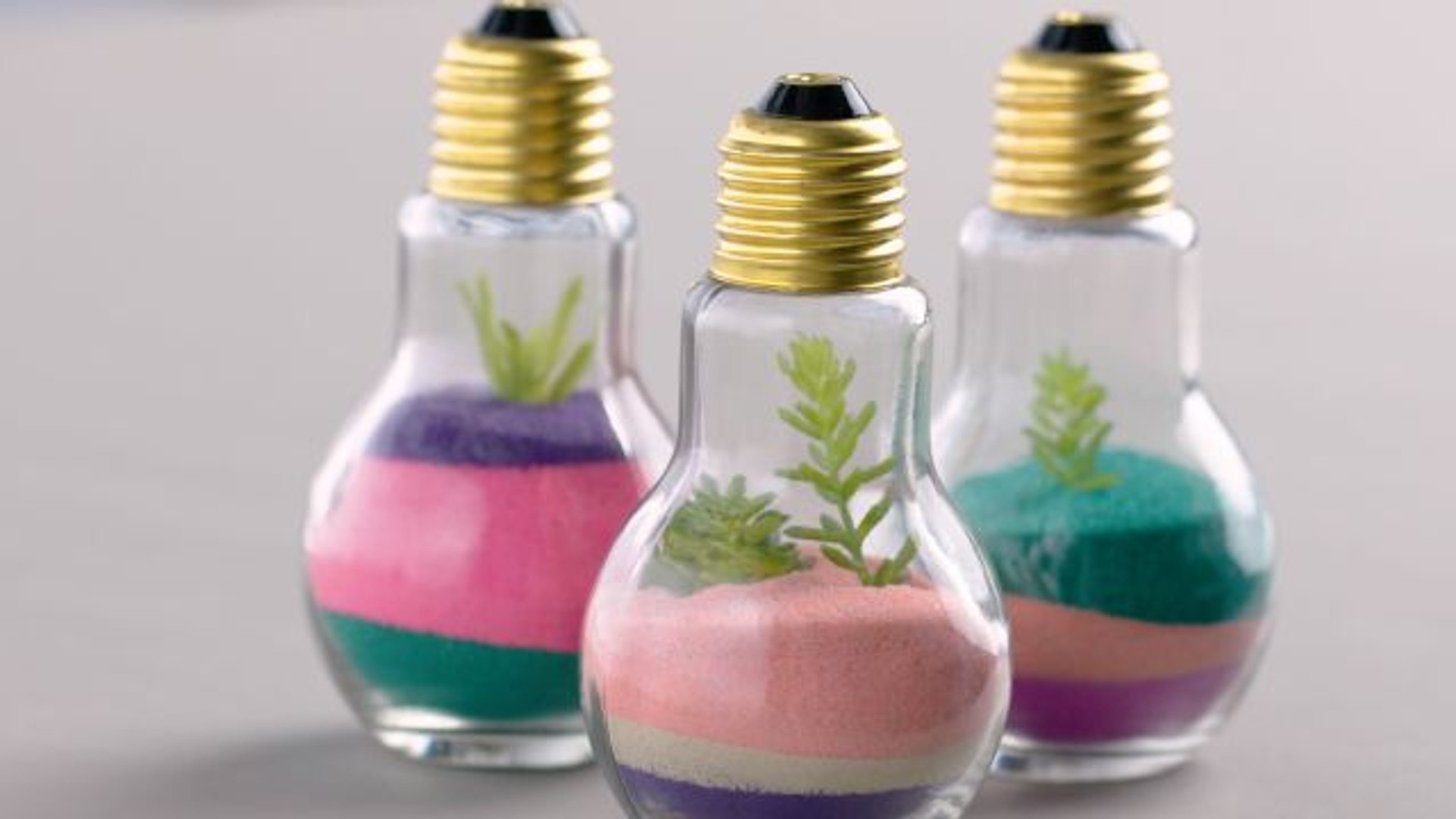 Diy Light Bulb Terrarium DIY Light Bulb Terrarium: An Enlightening DIY