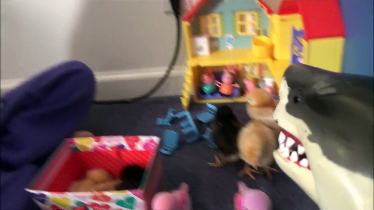 Pet Shark Attacks Baby Chicks Annabelle & Victoria Save The Day Toy ...