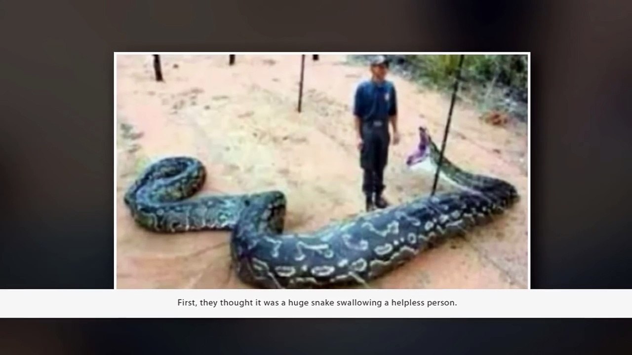 Half Human - Half Snake Creature Found in the Philippines - video ...