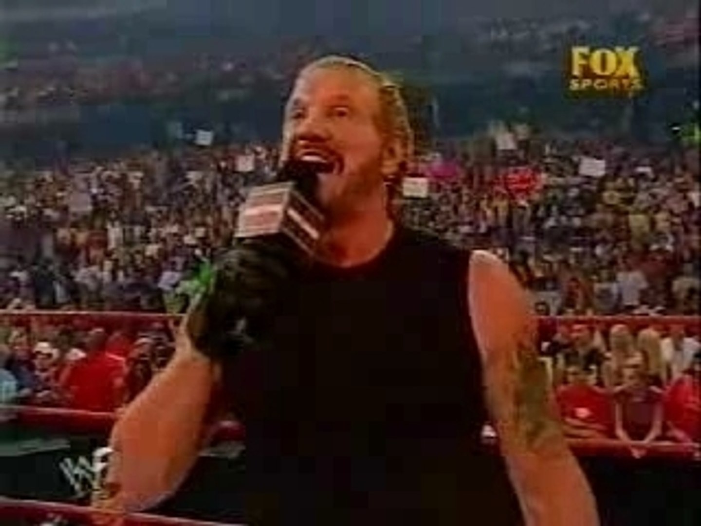 Ddp Wwf