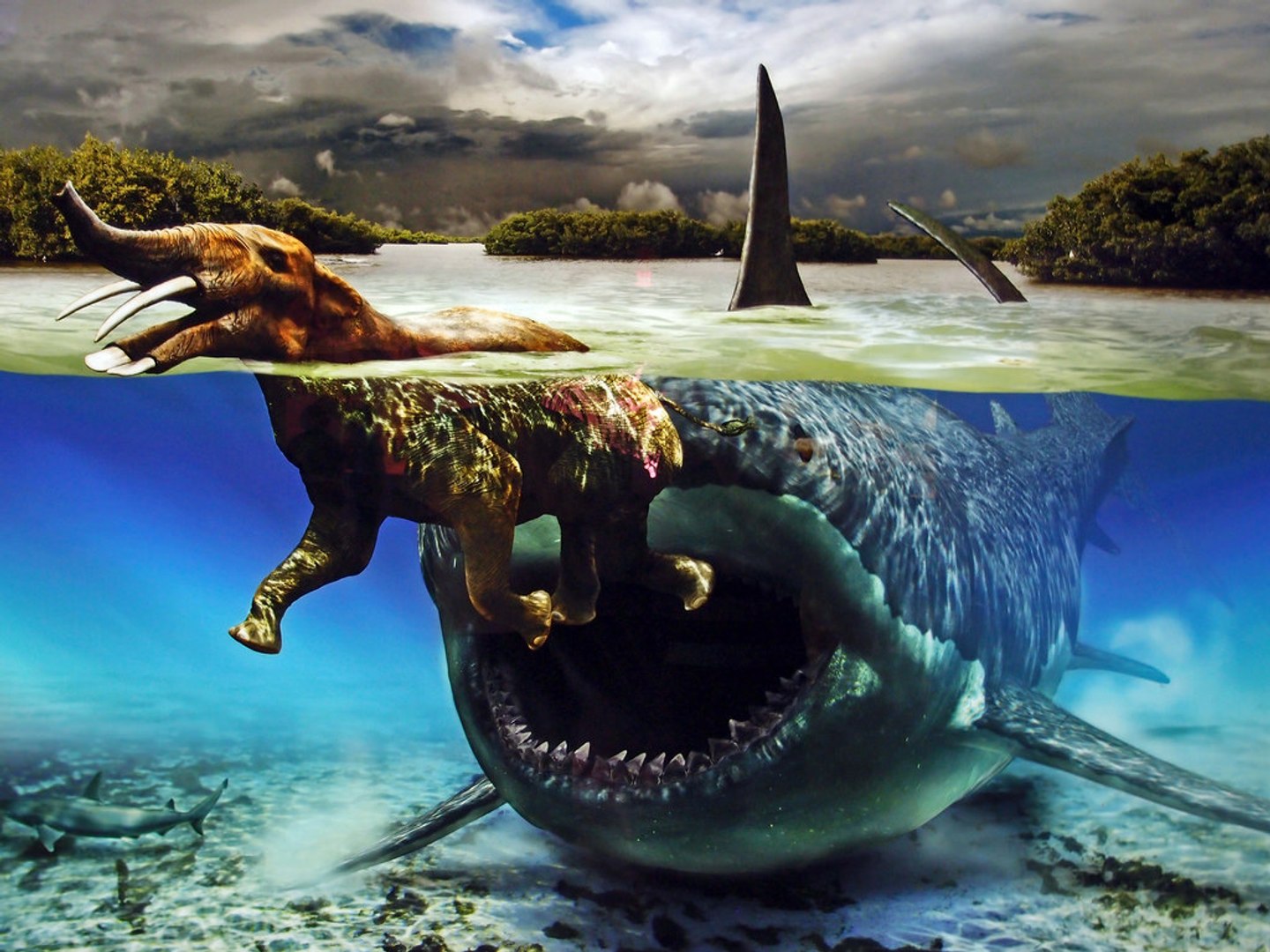 Megalodon Shark Discovery Channel