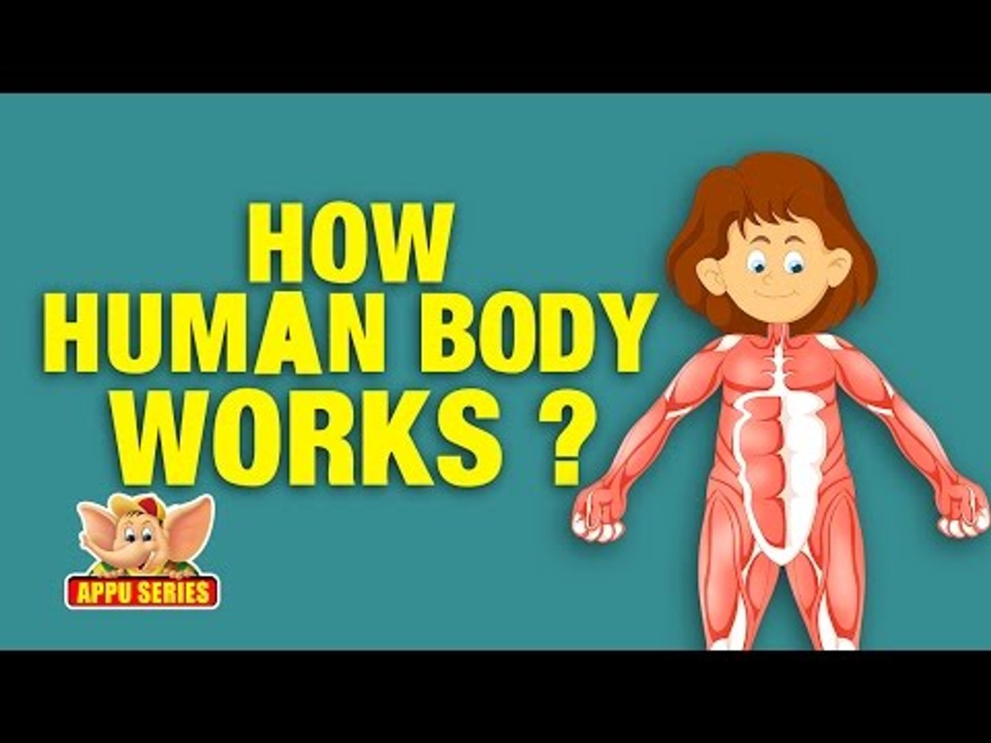 Human Body Works