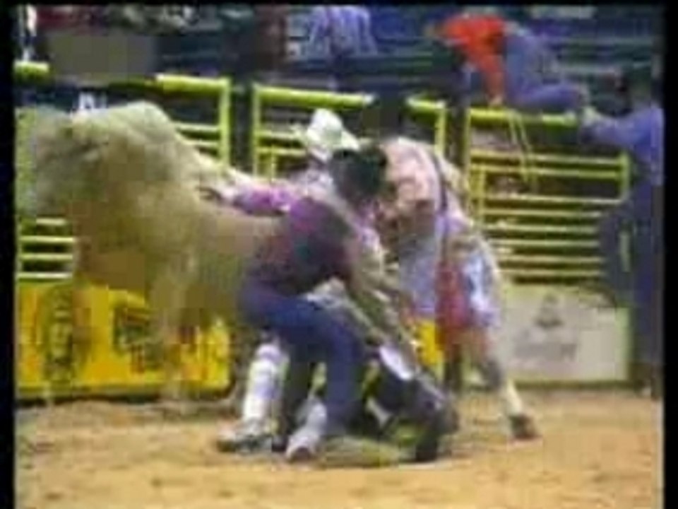 Bodacious The Undefeated Rodeo Bull - video Dailymotion