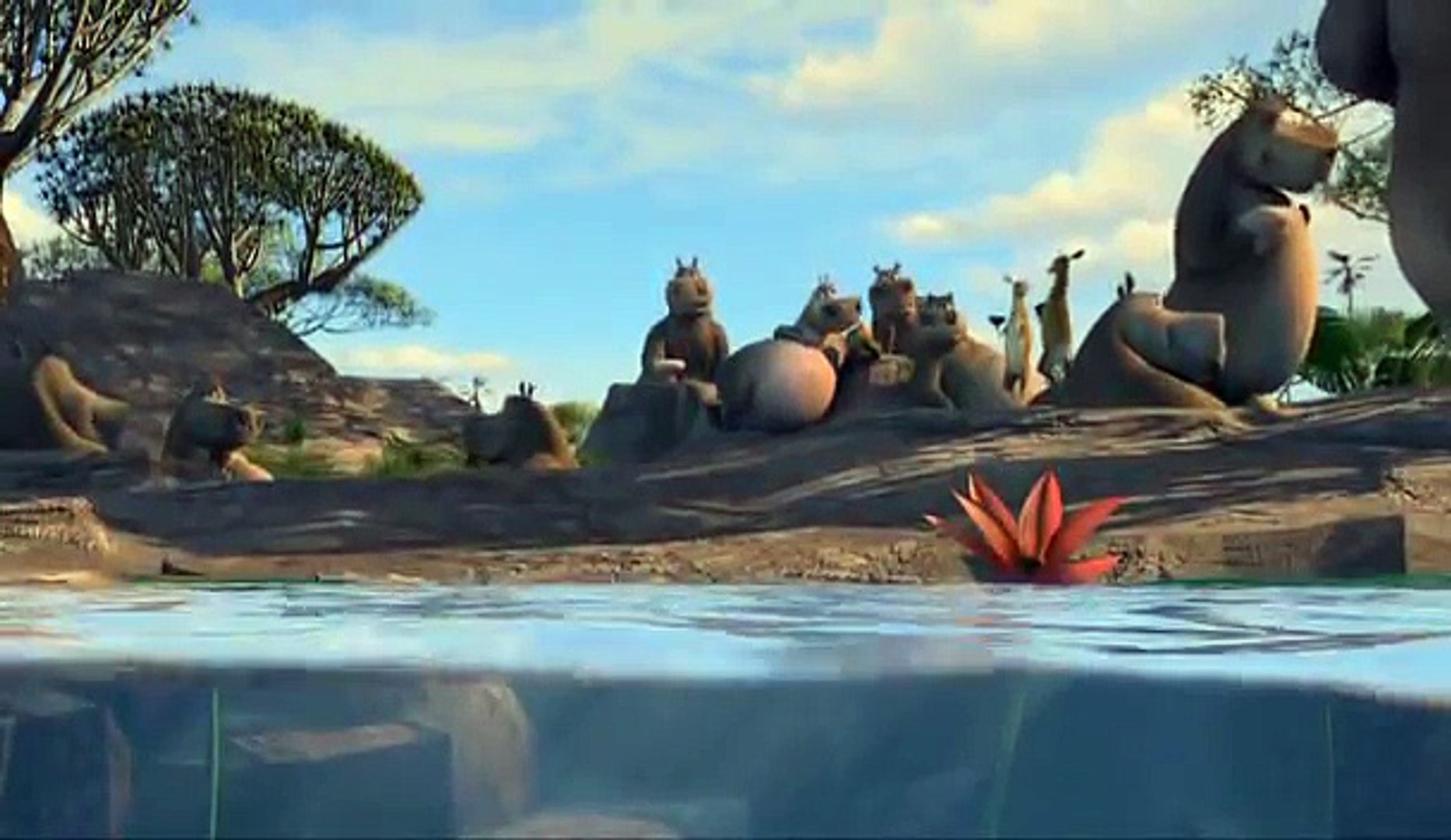 Madagascar Gloria Agus Moto Moto Bushy Boar Hedgehogs 3058