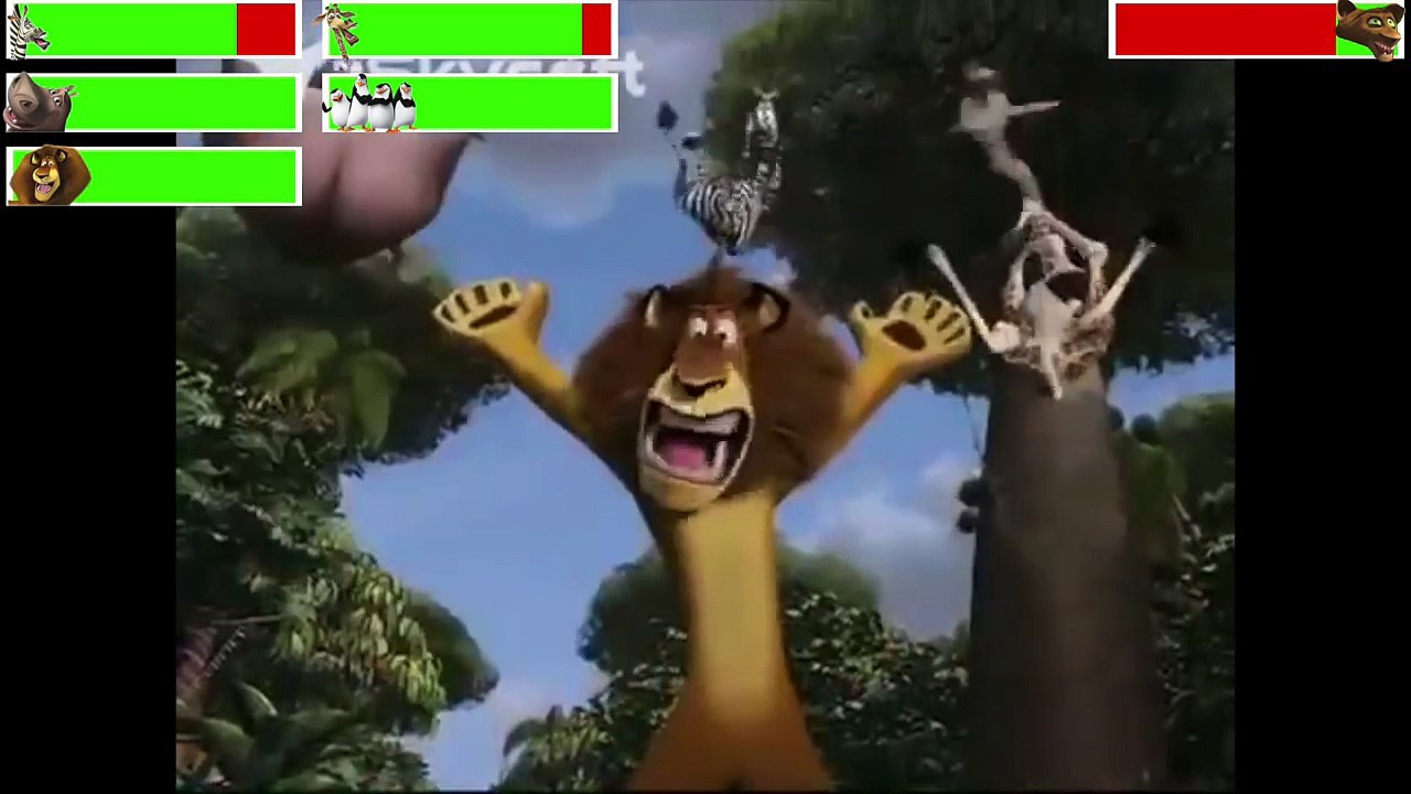 Madagascar Fossa Fight with healthbars - video Dailymotion