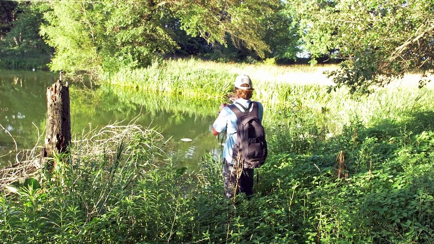 618 Fishing videos - Dailymotion