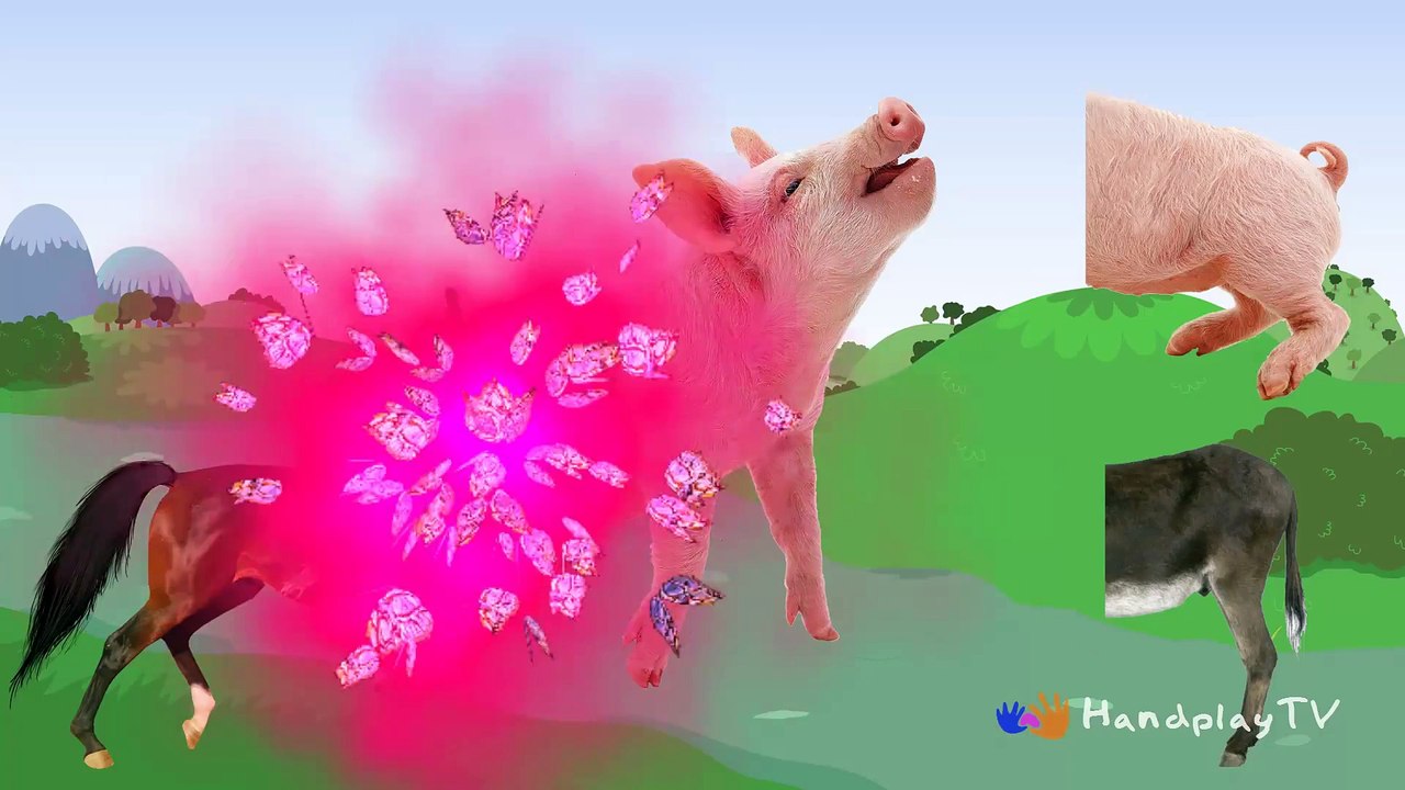 Farm Animals with Wrong Body | Funny Animals Video for Kids ...