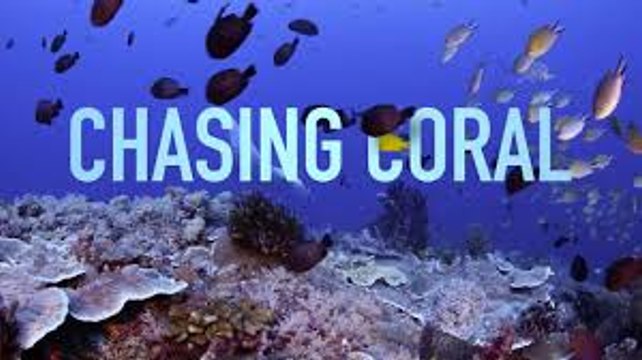Chasing Coral (2017) Full Movie videos - Dailymotion