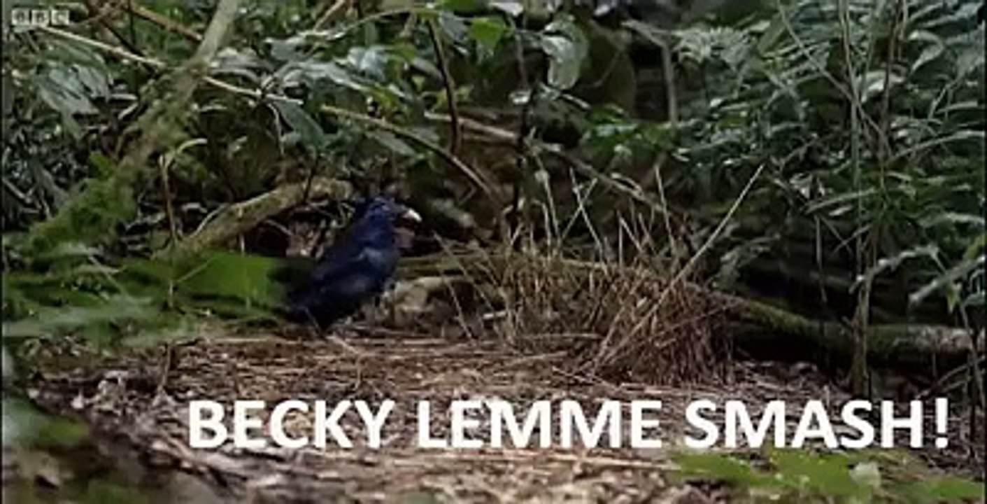 Lemme Smash 1 (Original) - video Dailymotion