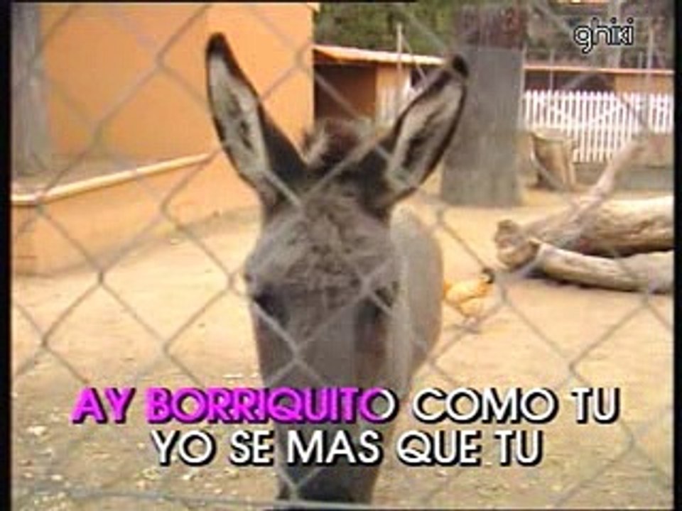 Peret - Borriquito como tu (Karaoke) - Vídeo Dailymotion