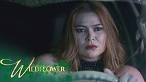 Wildflower by ABS-CBN Entertainment - Dailymotion