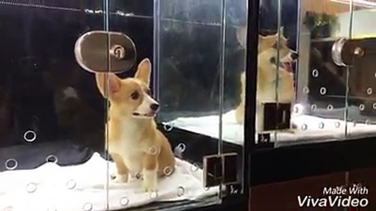 The first week of the PEOC !!! - video Dailymotion