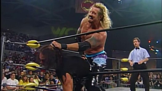 Macho Man Randy Savage vs. Diamond Dallas Page-Spring Stampede 1997 - video dailymotion