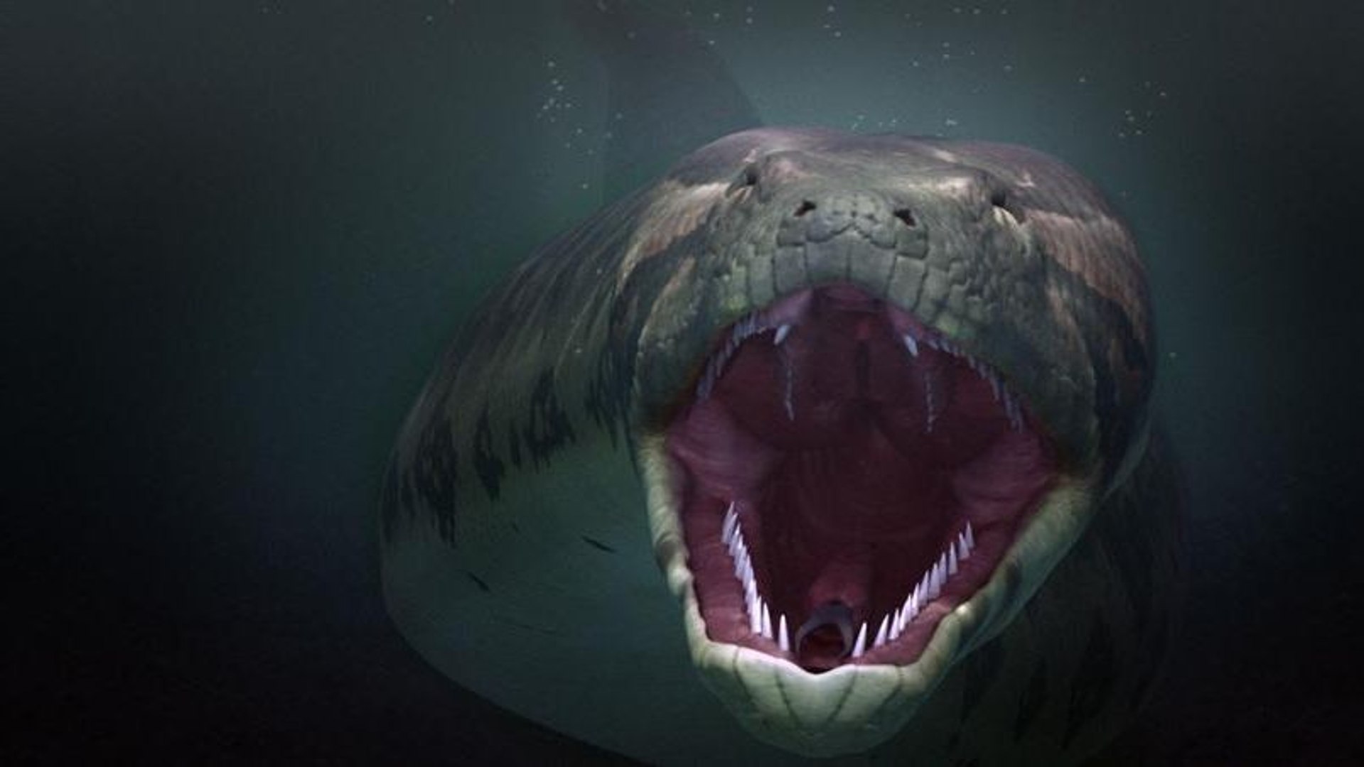 Le Plus Grand Vrai Serpent Du Monde NON, On A Pas Trouvé Un Anaconda