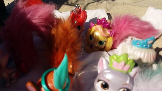 MISS SUNNY IN THE BEACH PLAY WITH PRINCESS DISNEY ...