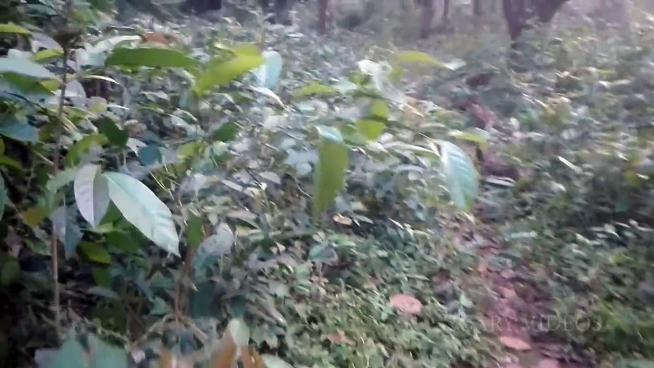 Extreme Disturbing Real DEMON Footage Caught On Tape _ Scary Videos ...