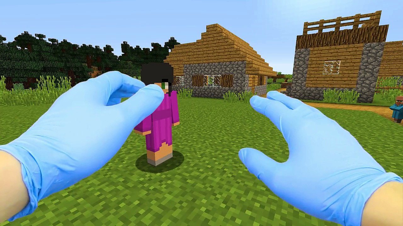 REALISTIC MINECRAFT VILLAGER GIVES BIRTH - video Dailymotion