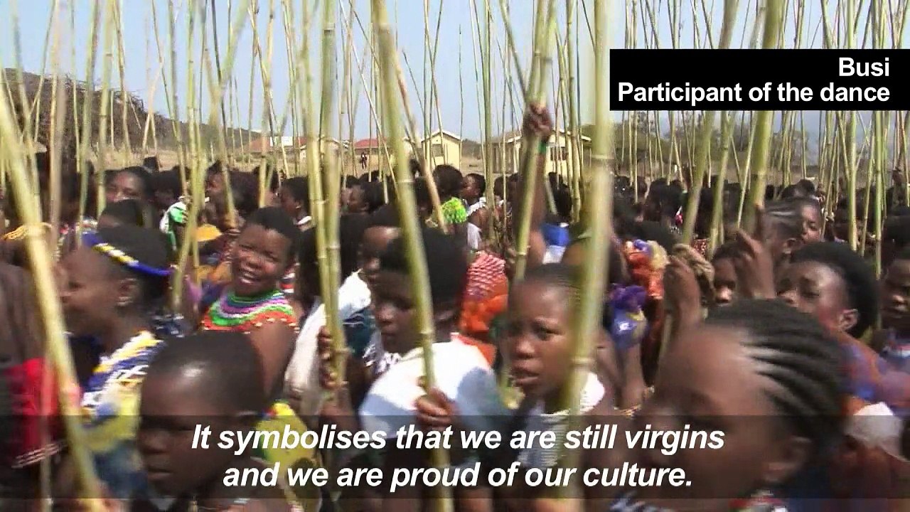 Young women dance to the Zulu king to celebrate virginity - Vidéo ...
