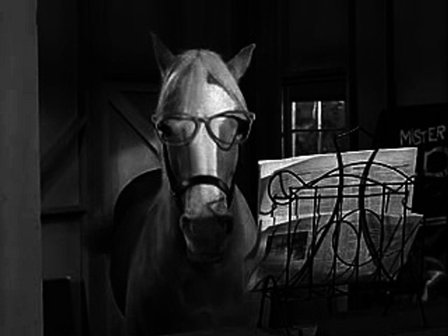 Mister Ed season 5 by TV Series Collection - Dailymotion