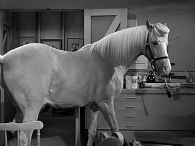 Mister Ed season 4 by TV Series Collection - dailymotion