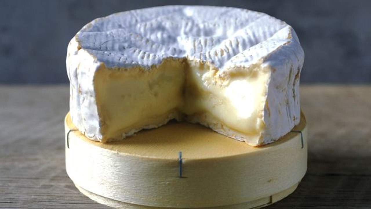 This Popular Cheese Is On The Brink of Becoming Extinct - video Dailymotion