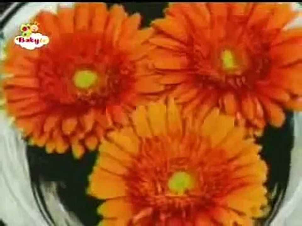 Bebe Mais Comparison BabyTV (parte 1) - Vídeo Dailymotion