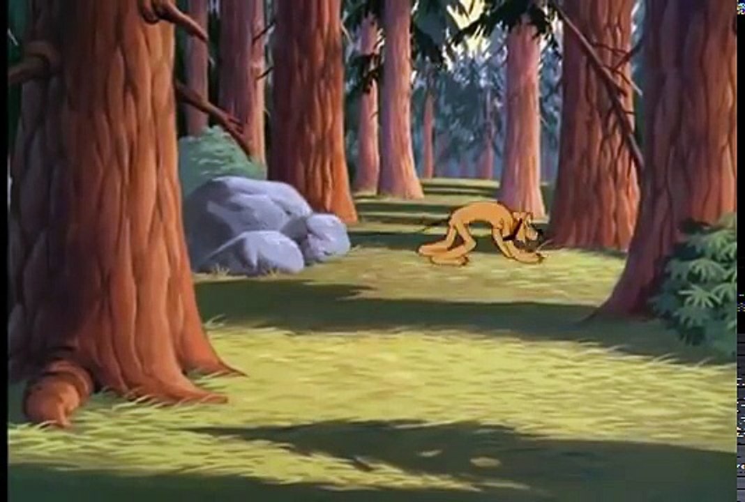 Walt Disneys Pluto the Dog: Plutopia (1951) - video Dailymotion