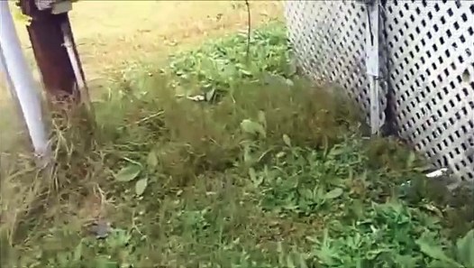 Real Life incidents - The Rake sightings - Vídeo Dailymotion