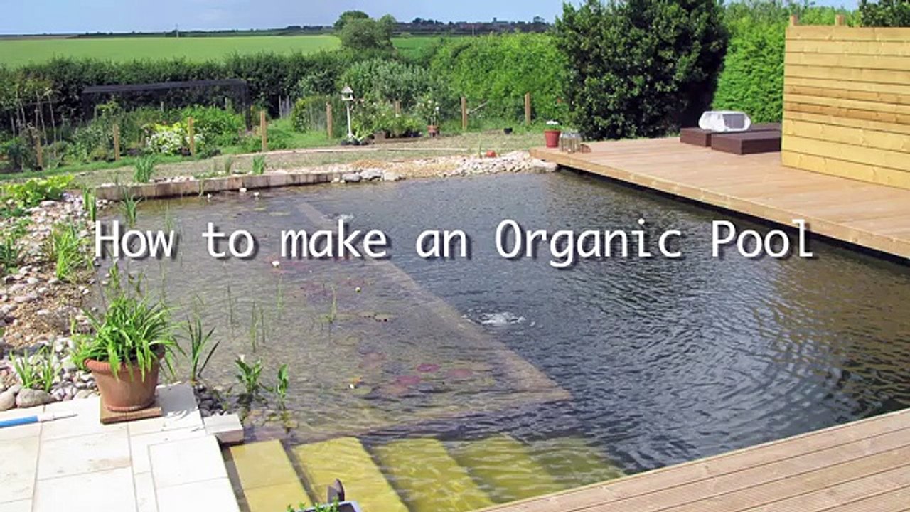 How to build a Natural Pool - DIY Organic Pool build - Vídeo Dailymotion