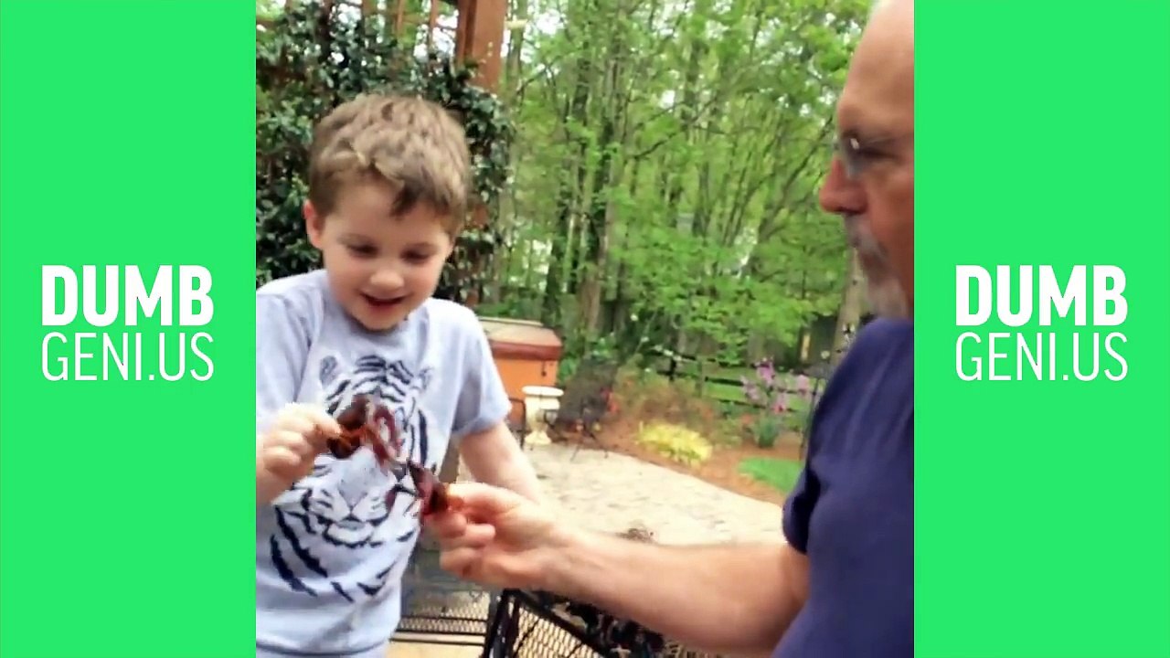 Funny Vine TRY NOT to LAUGH or GRIN MEME Compilation - Best Dumb Genius ...