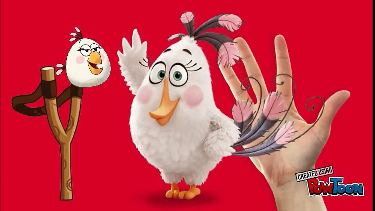 Angry Birds Finger Family - Kids Songs MG - Video Dailymotion