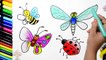 Draw and Color Honey Bee, Butterfly, Dragonfly, Lady Bug Coloring Page ...